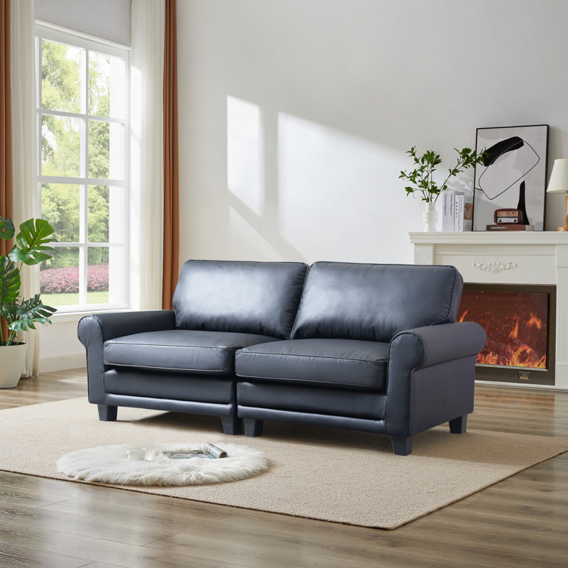 Pet Friendly Fabric Rolled Arm Upholstered Double Sofa with Removable Backrest Modern Sofas Red Barrel Studio Upholstery Color Black